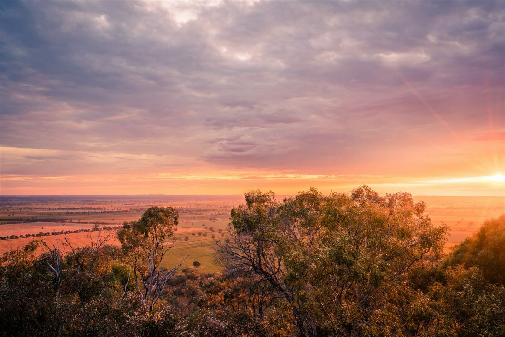 Guides & Brochures - Visit Lockhart
