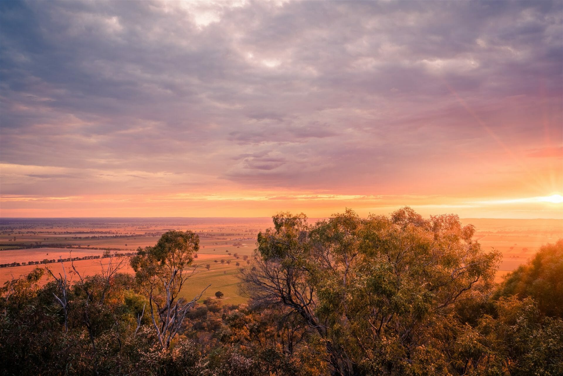 Guides & Brochures - Visit Lockhart